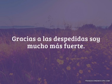 Decir adiós a la persona... - Frases con Emoción