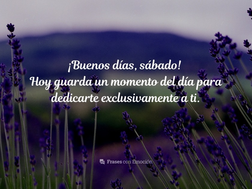 Hoy guarda un momento del día... - Frases con Emoción